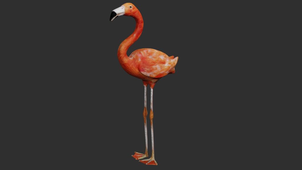 Flamingo 3D Model Rigged and Low Poly Game ready