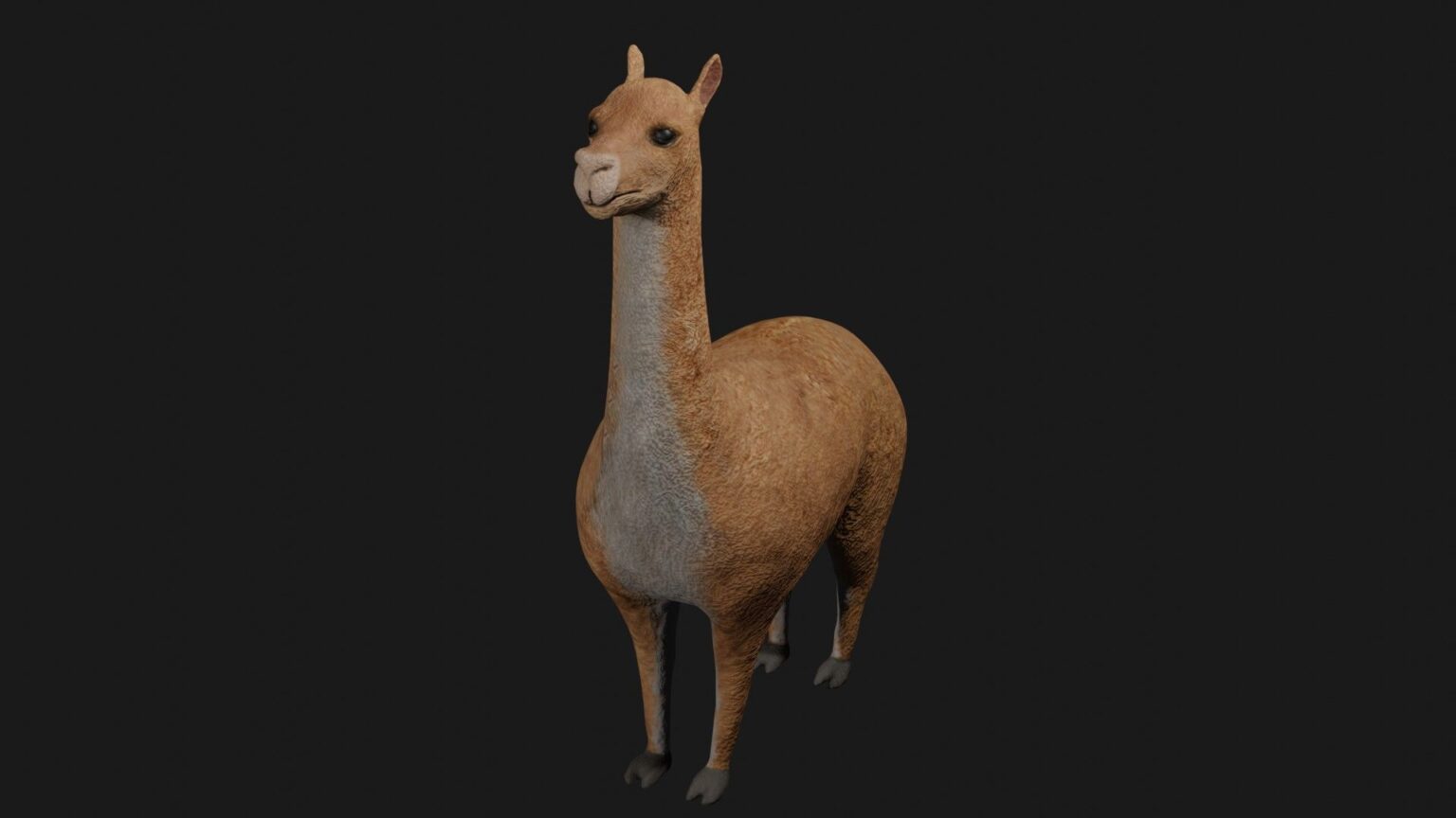 Alpaca Llama Collection 3D Model Rigged and Low Poly