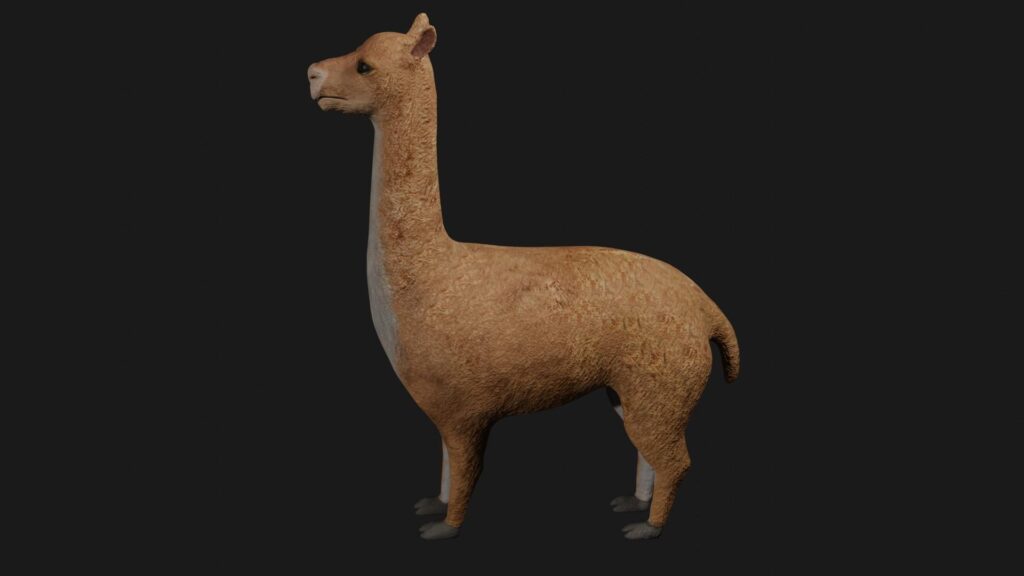 Alpaca Llama Collection 3D Model Rigged and Low Poly