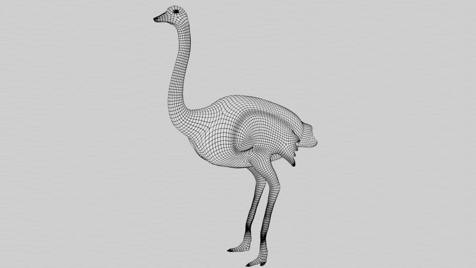Ostrich 3D Model Rigged and Low Poly Game ready