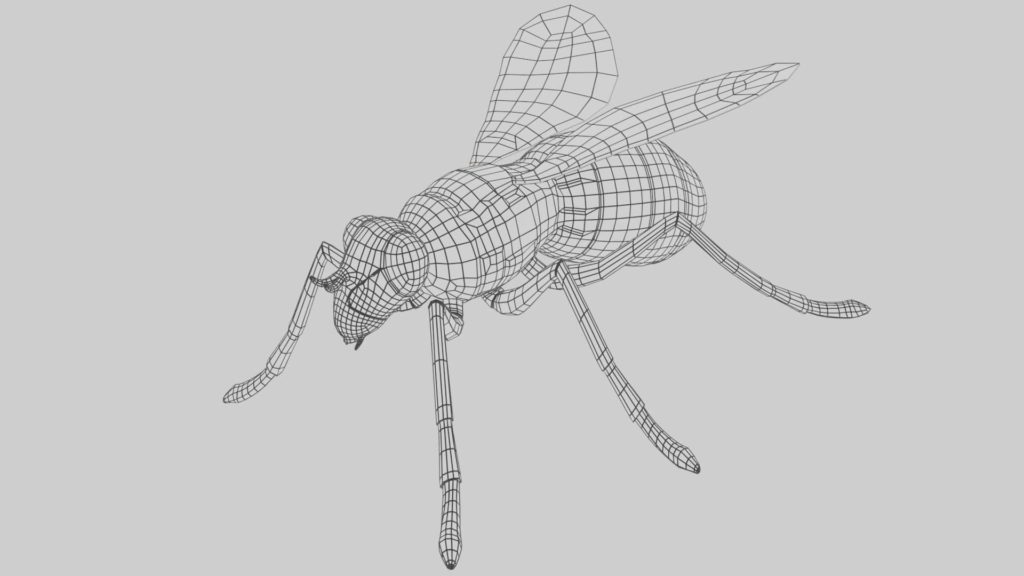 Fly 3D Model Rigged and Low Poly Game ready - Team 3d Yard