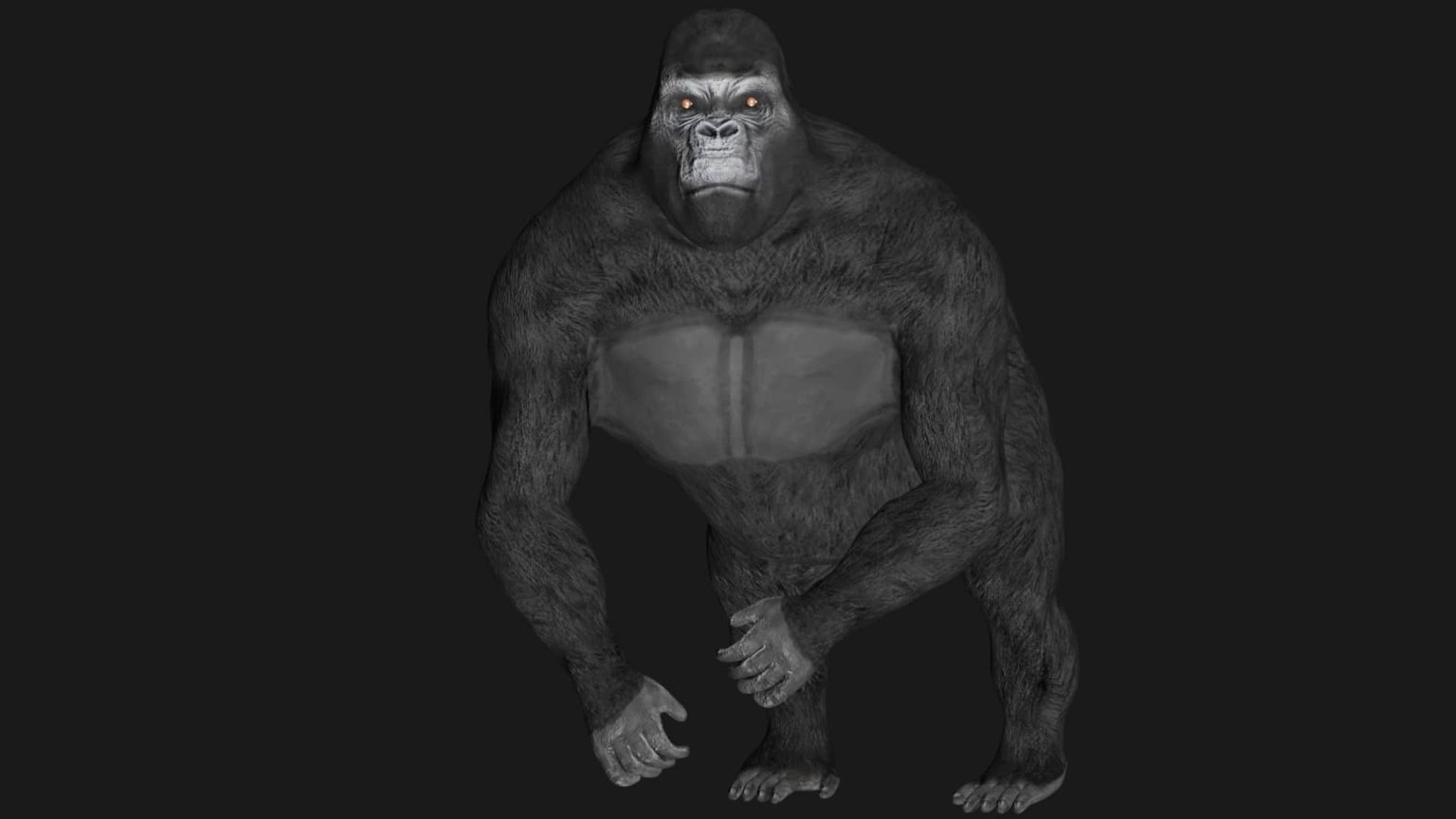 Gorilla 3d Model Rigged And Low Poly Game Ready Team 3d Yard