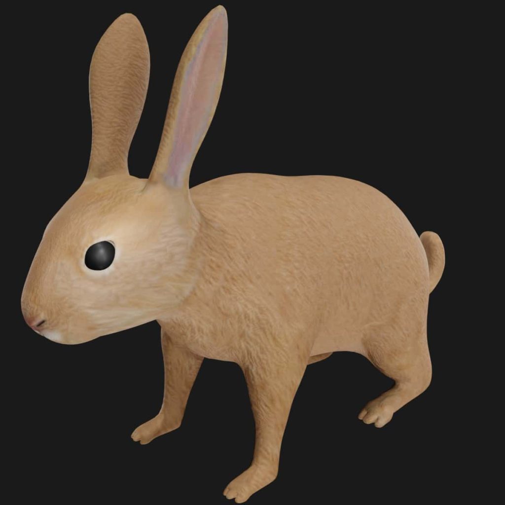 Rabbit 3D Model Rigged and Low Poly Game ready - Team 3d Yard