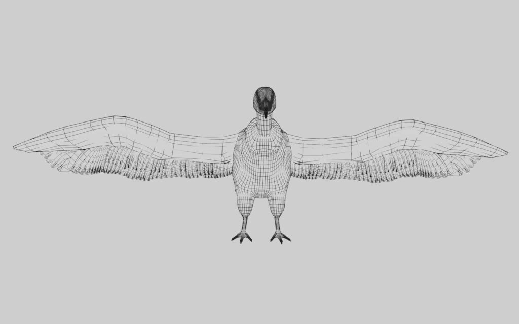 Condor 3D Model Rigged Game ready - Team 3d Yard