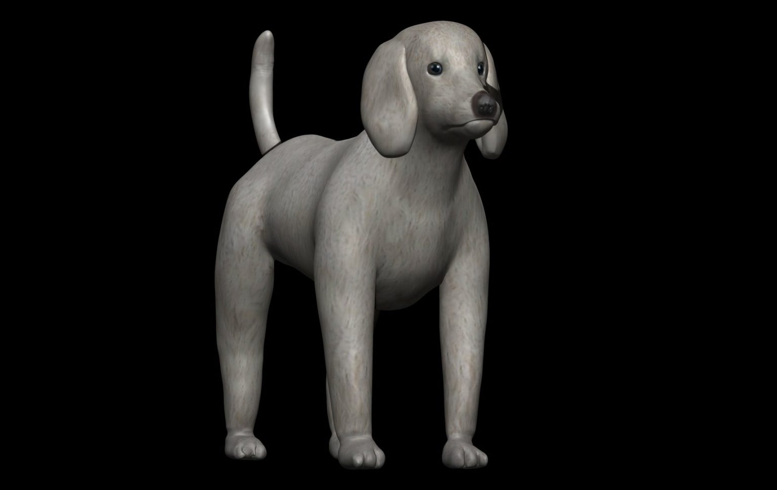 Poodle Dog 3d Model Rigged and Low poly - Team 3d Yard