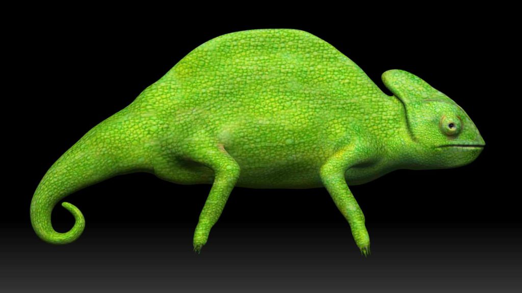 Chameleon 3d Model Rigged and Low poly - Team 3d Yard
