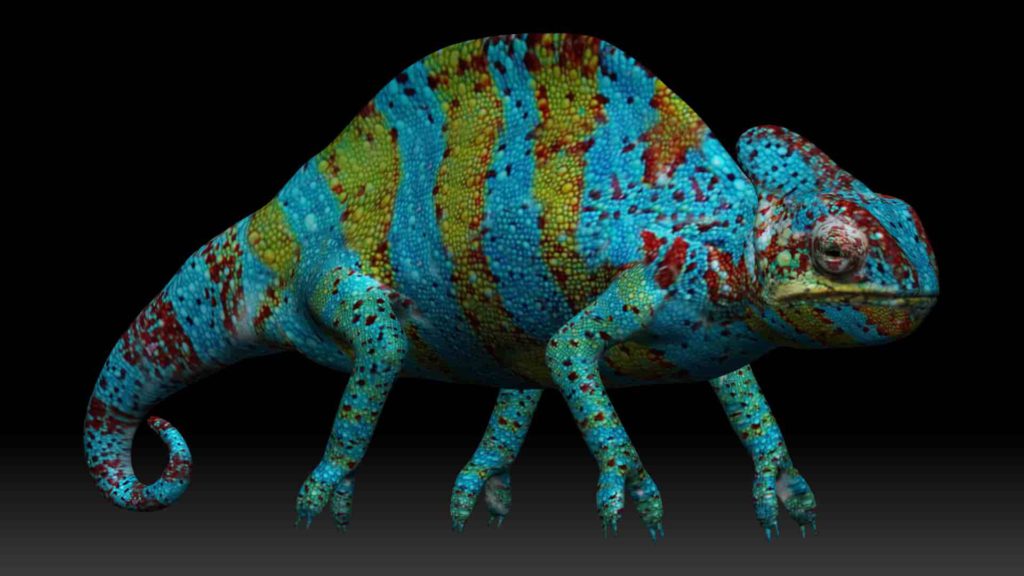 Chameleon 3d Model Rigged and Low poly - Team 3d Yard