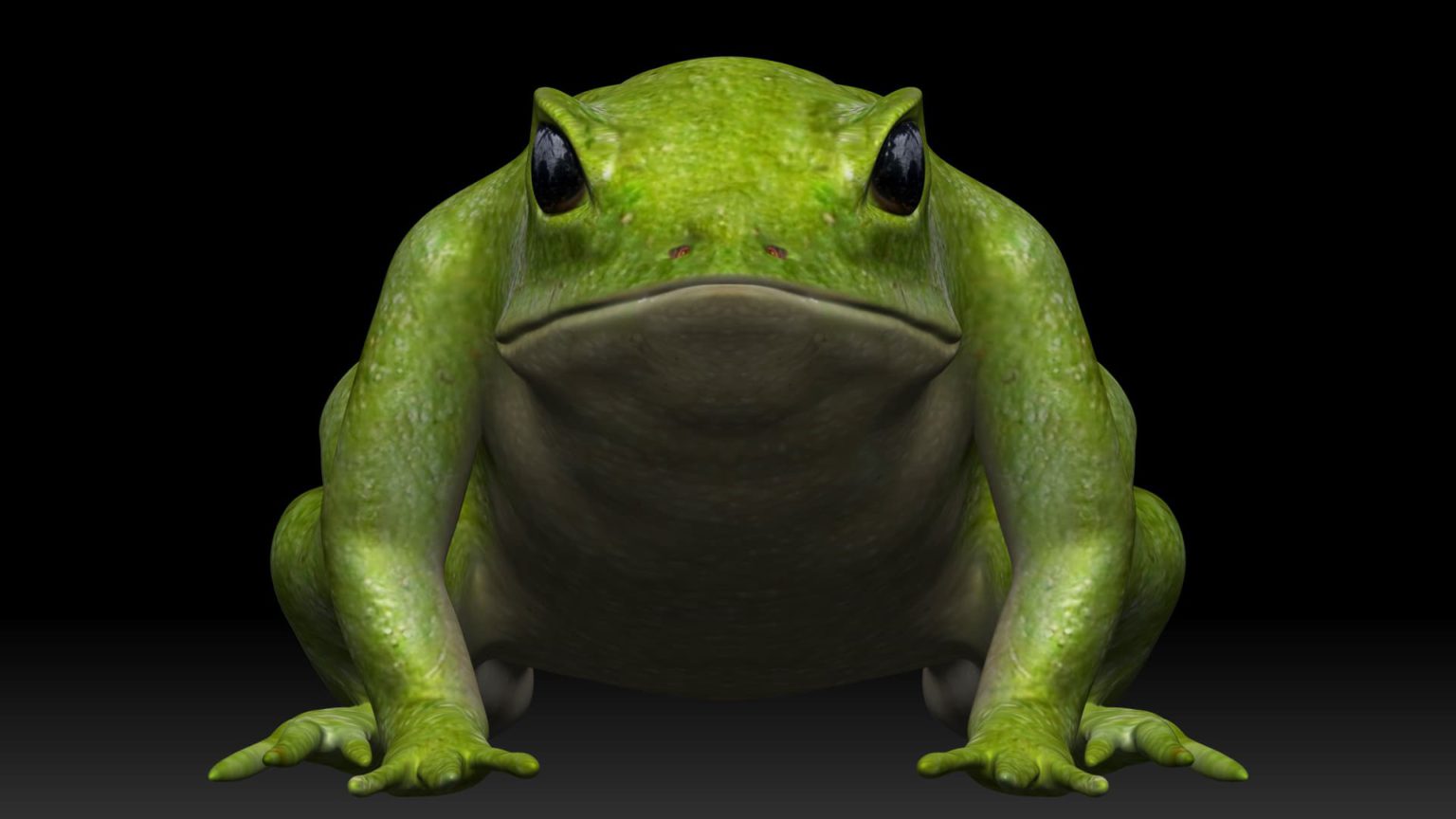 Frog 3d Model Photorealistic Low poly Model - Team 3d Yard