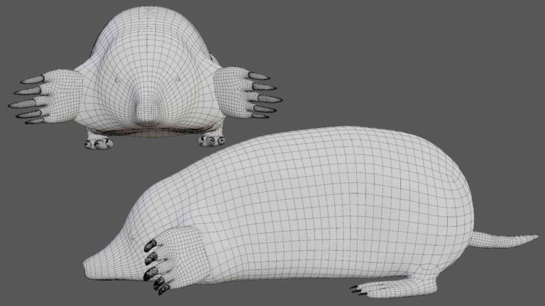 Mole 3d Model Low poly Realistic 3d model - Team 3d Yard