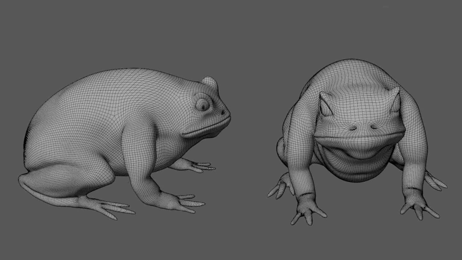Toad 3d Model with photorealistic low poly mesh- Team 3d Yard