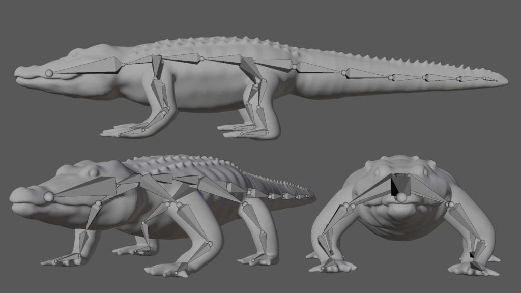 Alligator 3D Model Rigged and Low Poly - Team 3d Yard