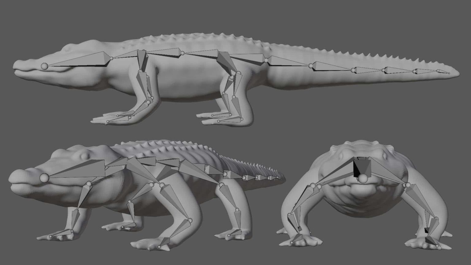 Alligator 3D Model Rigged and Low Poly - Team 3d Yard