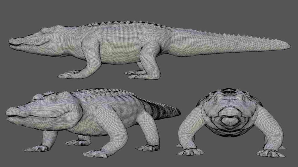 Alligator 3D Model Rigged and Low Poly - Team 3d Yard