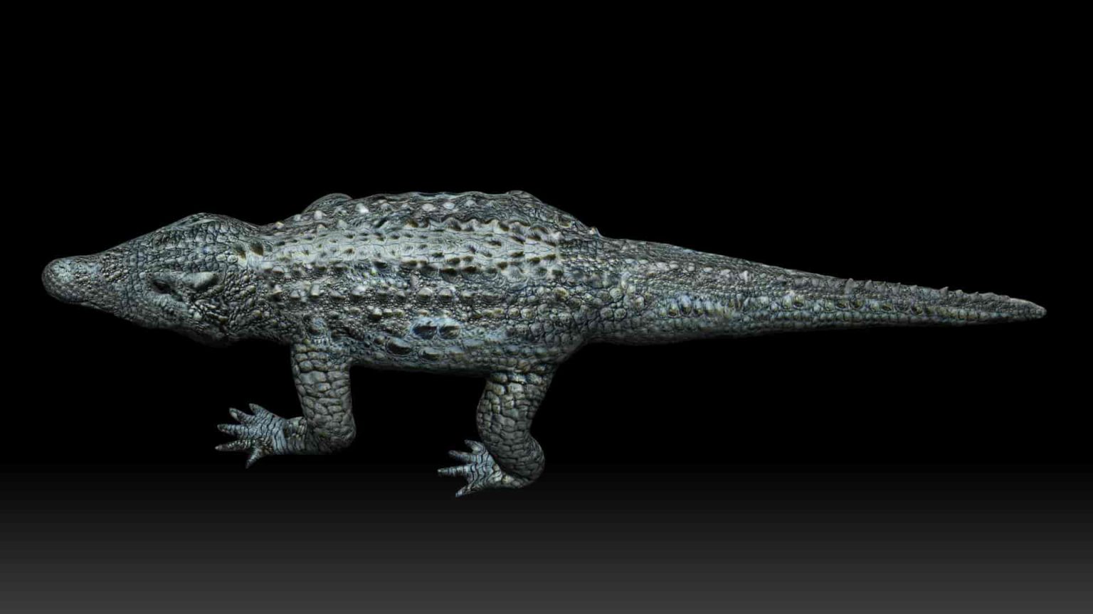 Alligator 3D Model Rigged and Low Poly - Team 3d Yard