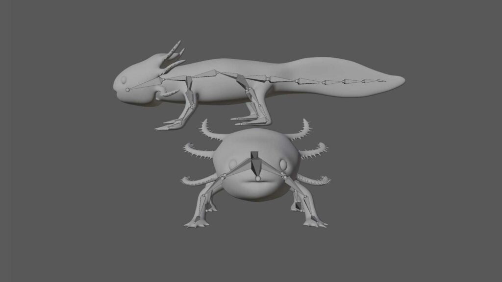Axolotl 3d model Rigged and Low Poly - Team 3d Yard