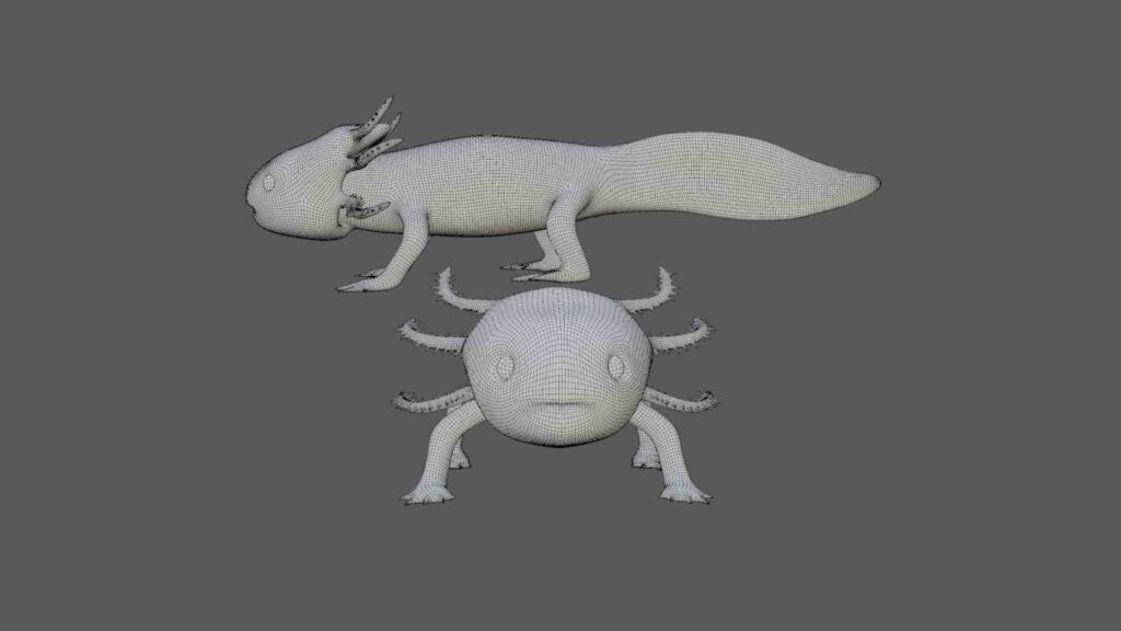 Axolotl 3d model Rigged and Low Poly - Team 3d Yard