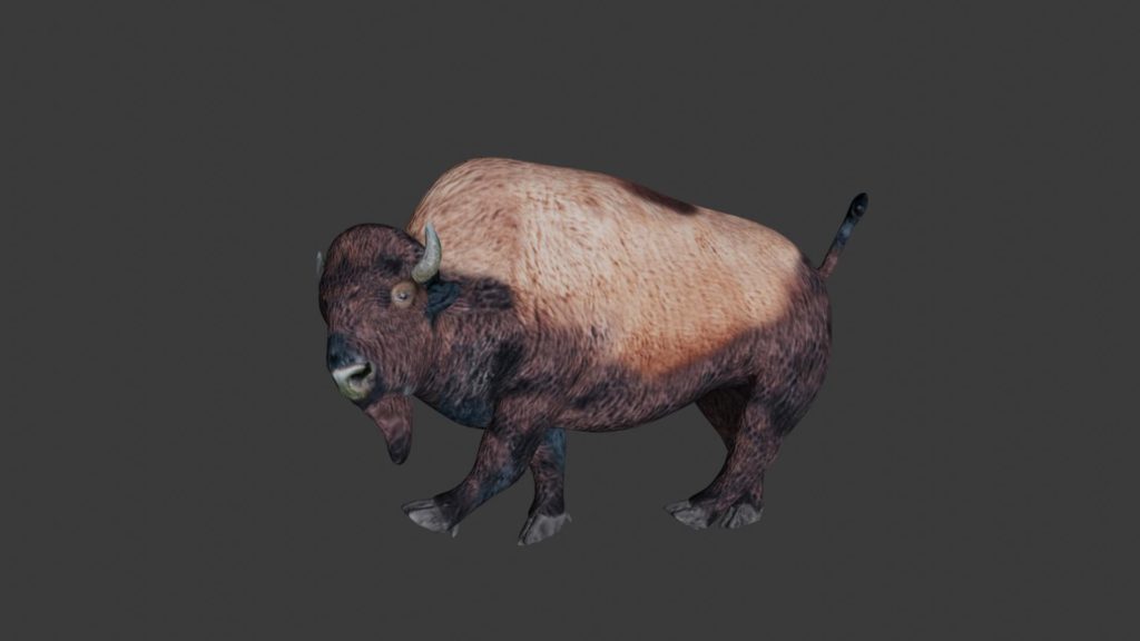 Bison 3D Model Rigged and Low Poly - Team 3d Yard