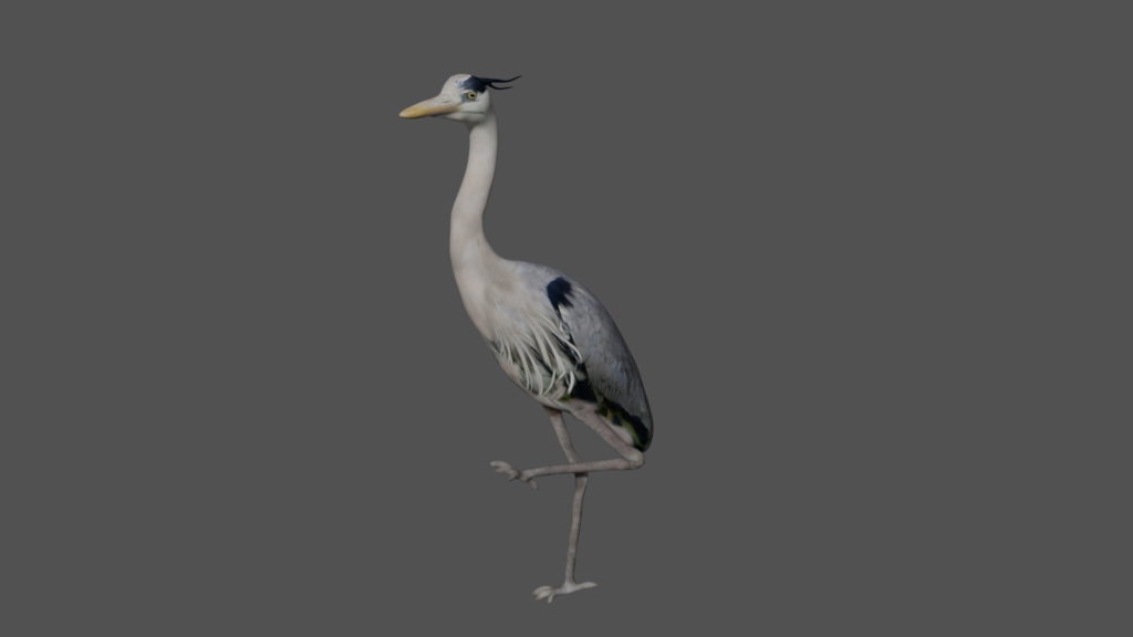 Heron 3D Model Rigged and Low Poly - Team 3d Yard