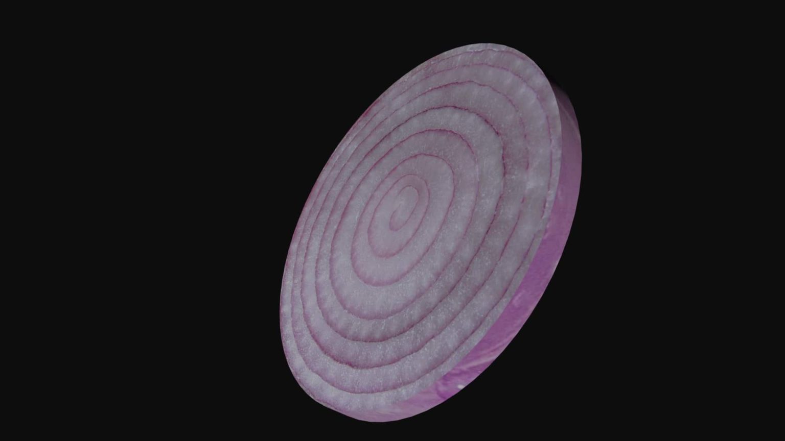 Onion Slice 3d Model Photorealistic AR VR model - Team 3d Yard