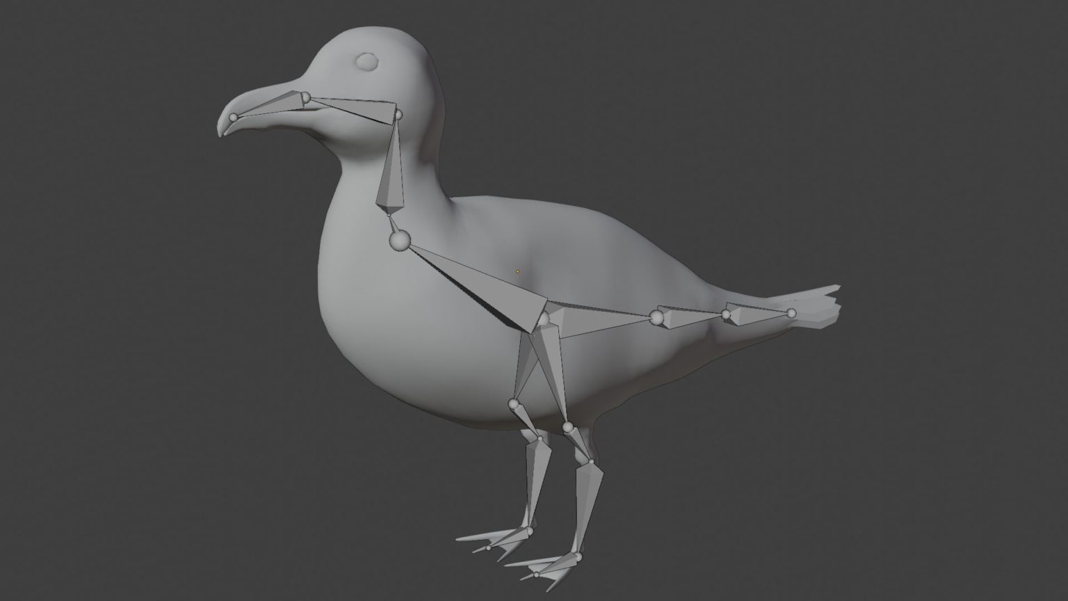 Seagull 3D Model Rigged and Low Poly - Team 3d Yard