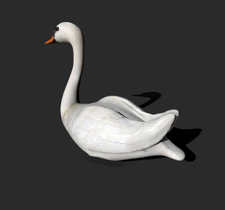 Swan 3D Model Rigged and Low Poly - Team 3d Yard