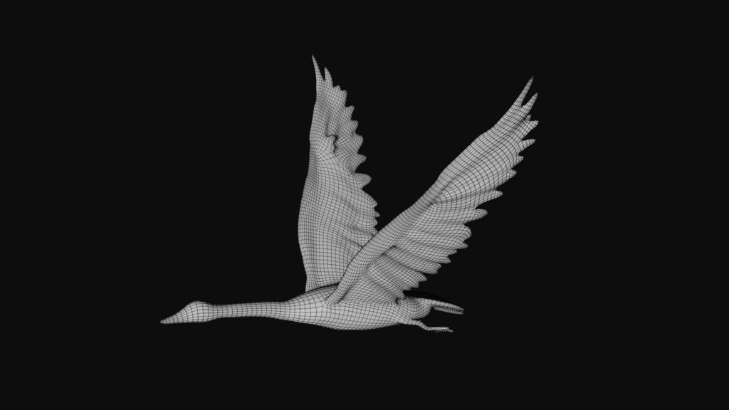 Swan 3D Model Rigged and Low Poly - Team 3d Yard