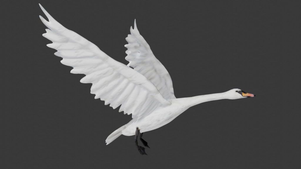 Swan 3D Model Rigged and Low Poly - Team 3d Yard