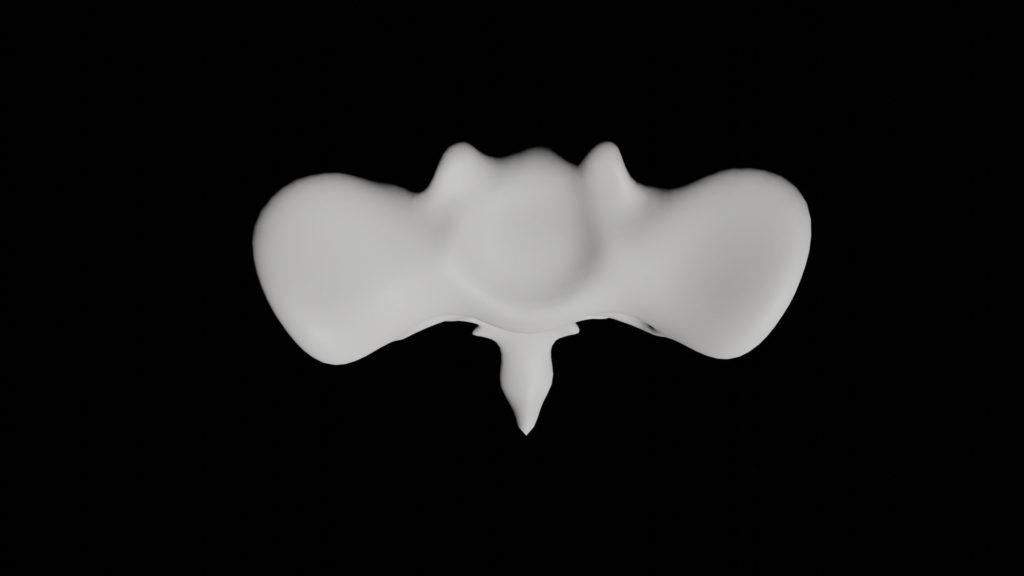 Realistic Human Tail bone 3d Model Low poly - Team 3d Yard