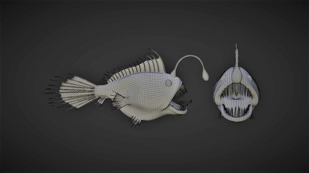 Angler fish 3d model low poly 3d model - Team 3d Yard