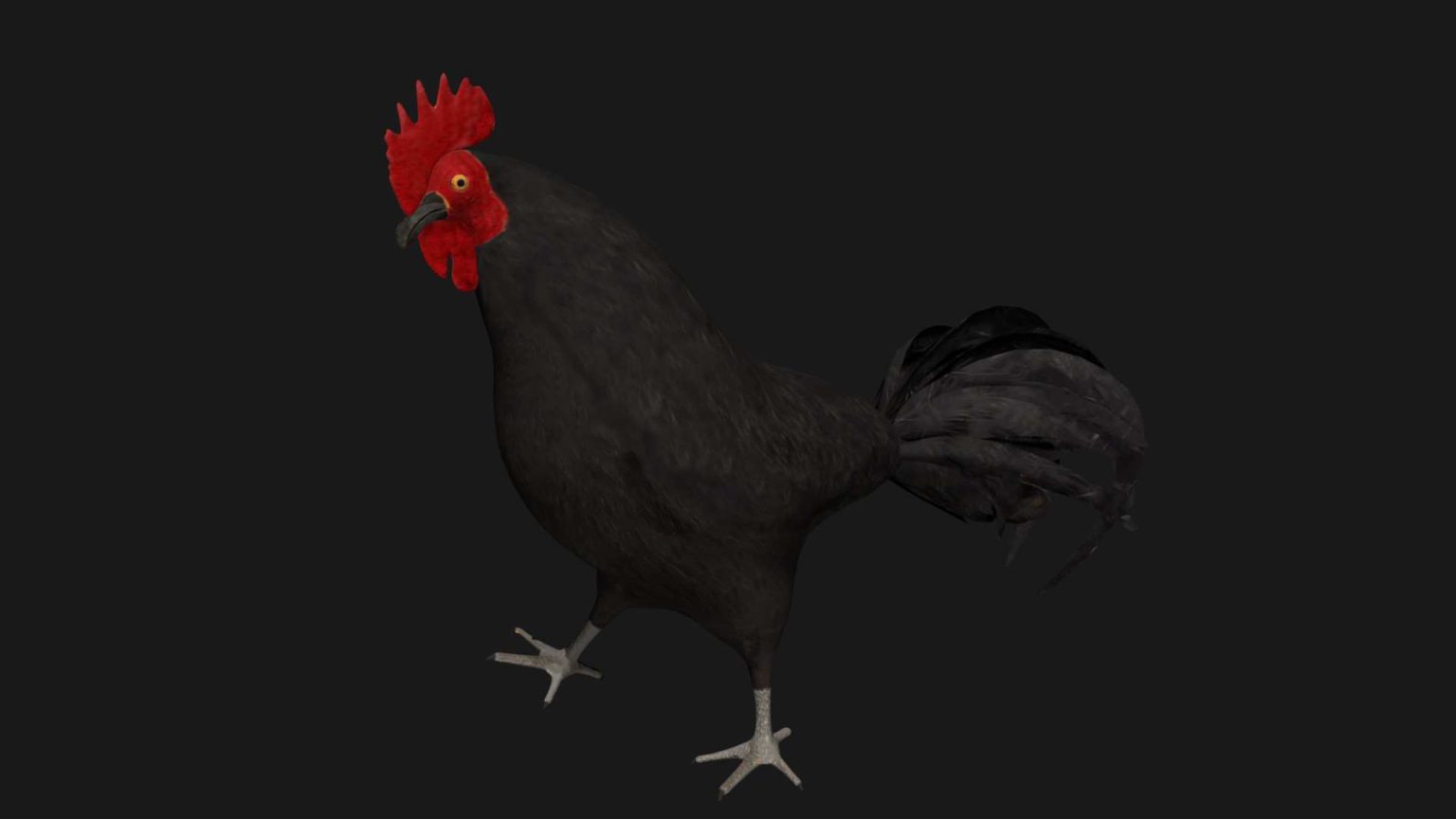 Hen 3d model rigged and low poly 3d model - Team 3d Yard