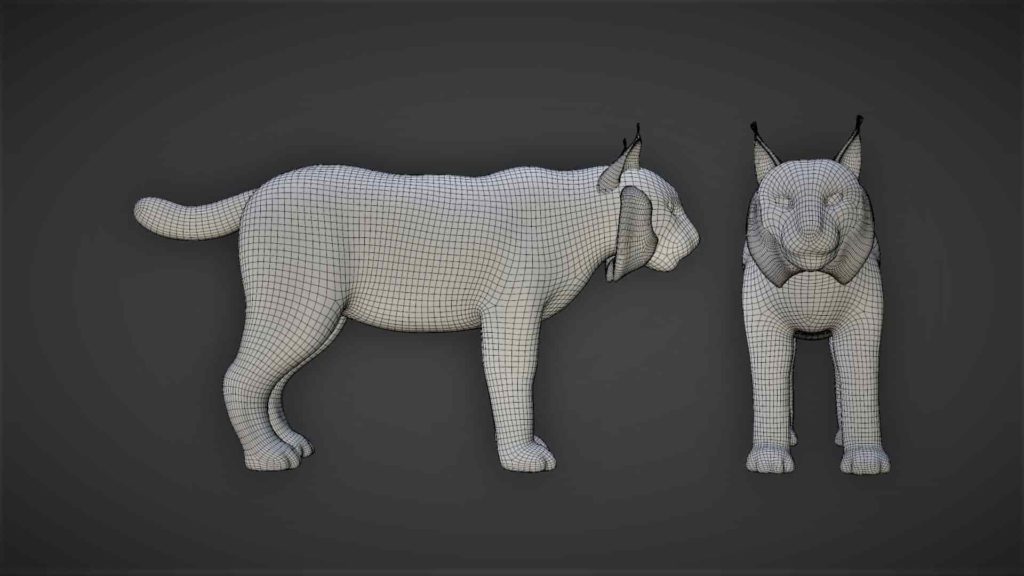 Lynx 3d model rigged and low poly 3d model - Team 3d Yard