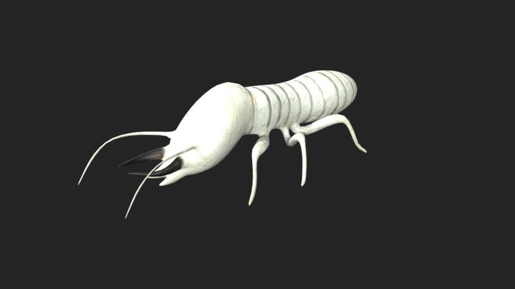 Termite soldier 3D Model Rigged and Low Poly - Team 3d Yard