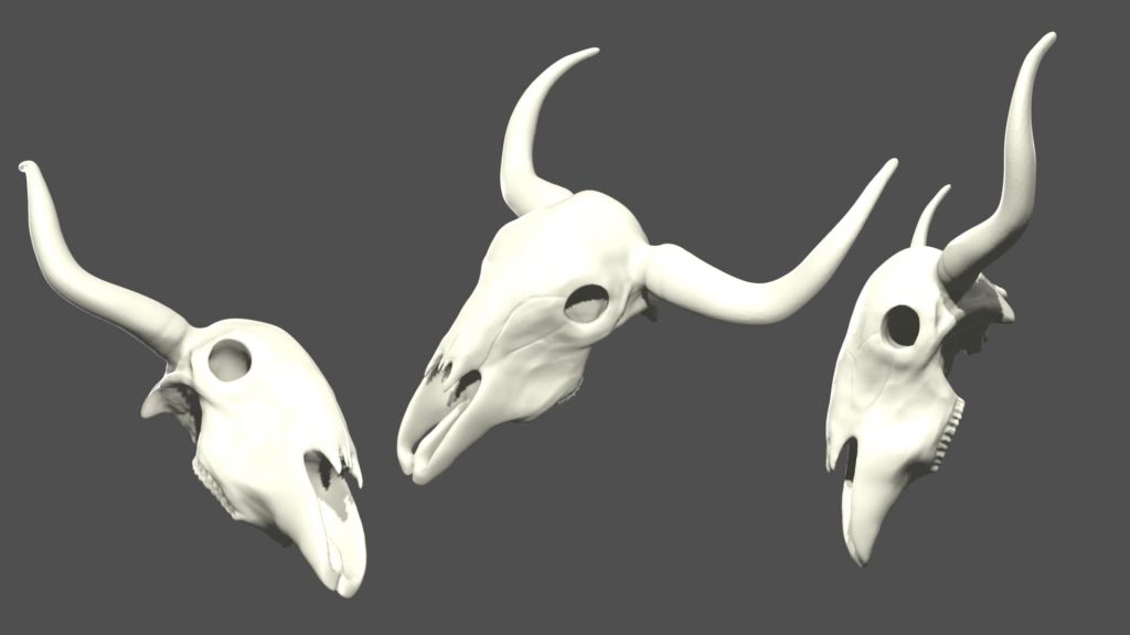 Cow skull 3d model 3d model - Team 3d Yard