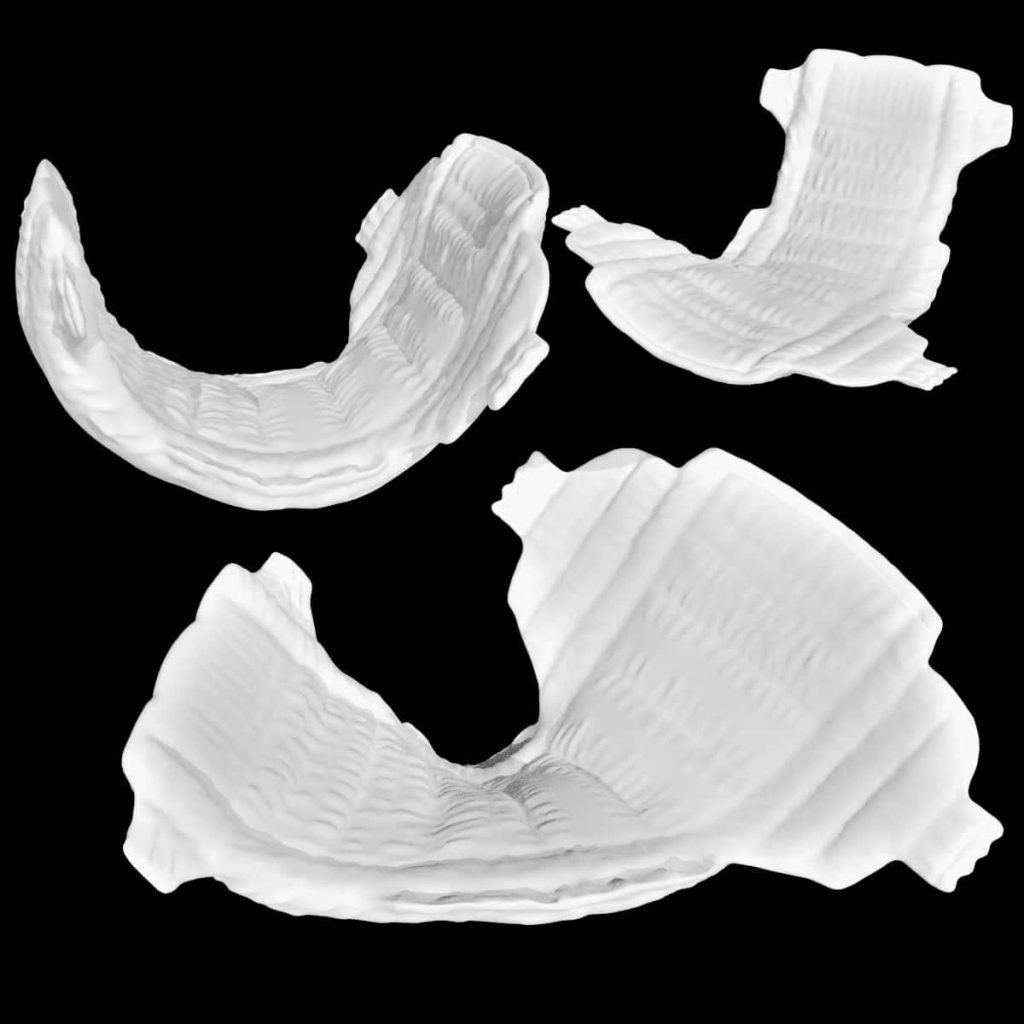 Baby diaper 3d model Low Poly AR 3D Model - Team 3d Yard