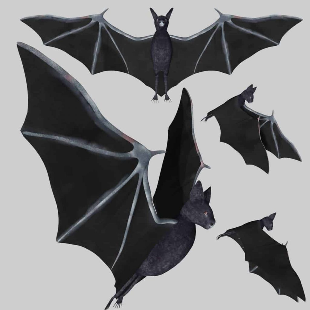 Bat 3d model Rigged and Low Poly - Team 3d Yard