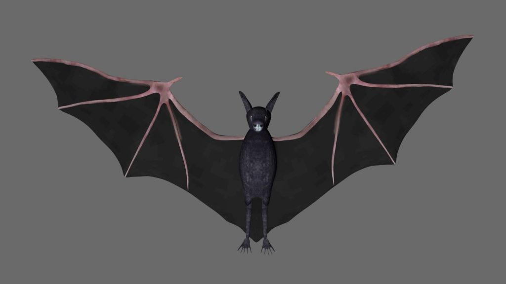 Bat 3d model Rigged and Low Poly - Team 3d Yard