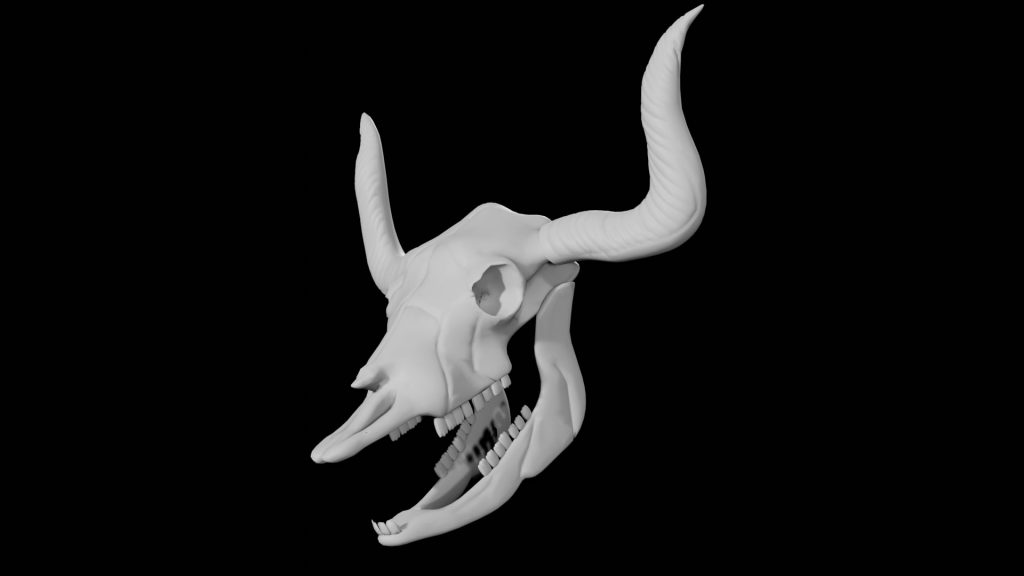 Bull skull 3d model Rigged and low poly Rigged AR - Team 3d Yard