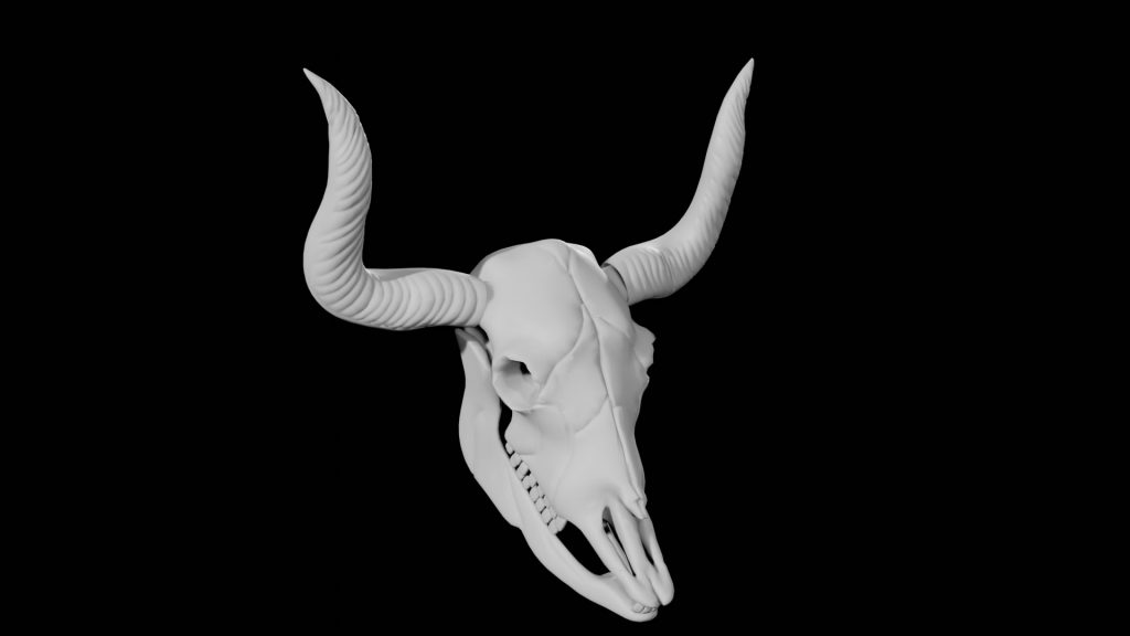 Bull skull 3d model Rigged and low poly Rigged AR - Team 3d Yard