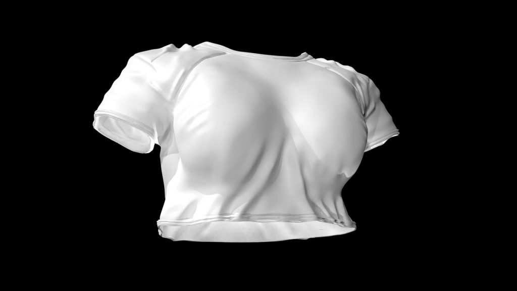 Crop top 3d model Low Poly AR 3d Model - Team 3d Yard