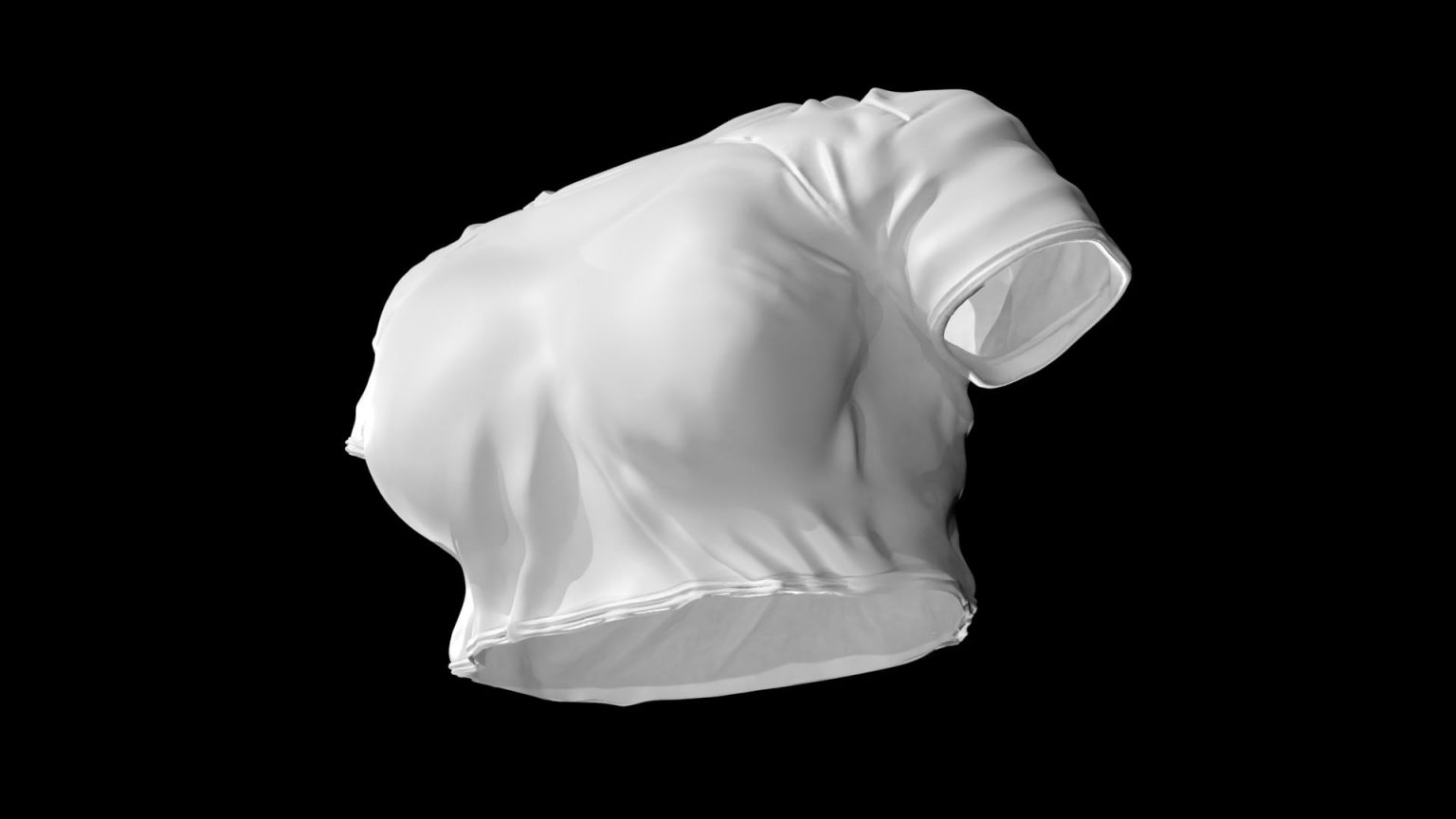 Crop top 3d model Low Poly AR 3d Model - Team 3d Yard