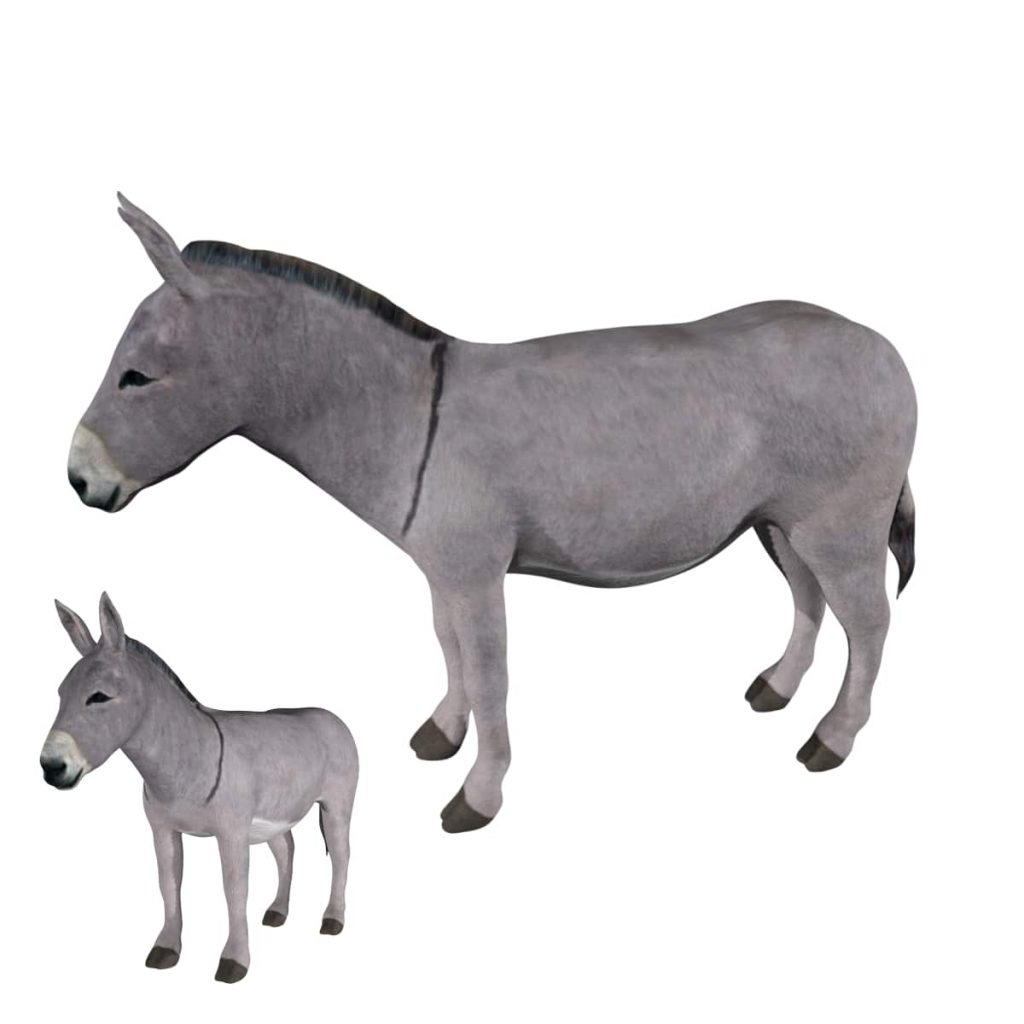 Donkey 3d model Rigged and low poly - Team 3d Yard