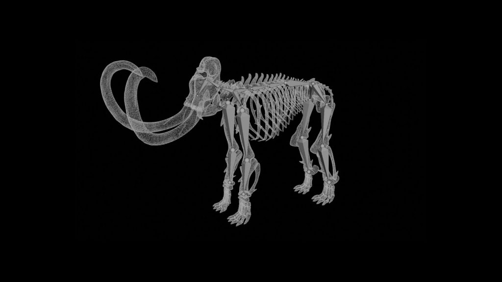 Mammoth skeleton 3d model Rigged and Low Poly - Team 3d Yard