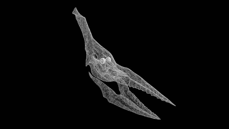 Pterodactyl skull 3d model Low Poly AR 3D Model - Team 3d Yard