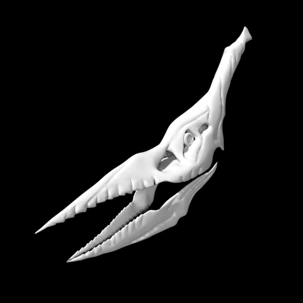 Pterosaur skull 3d model Low Poly AR 3D Model - Team 3d Yard
