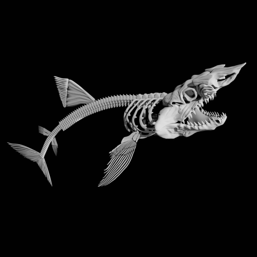 Shark skeleton 3d model Low Poly - Team 3d Yard