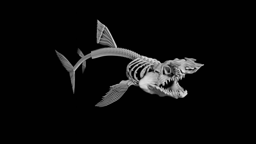 Shark skeleton 3d model Low Poly - Team 3d Yard