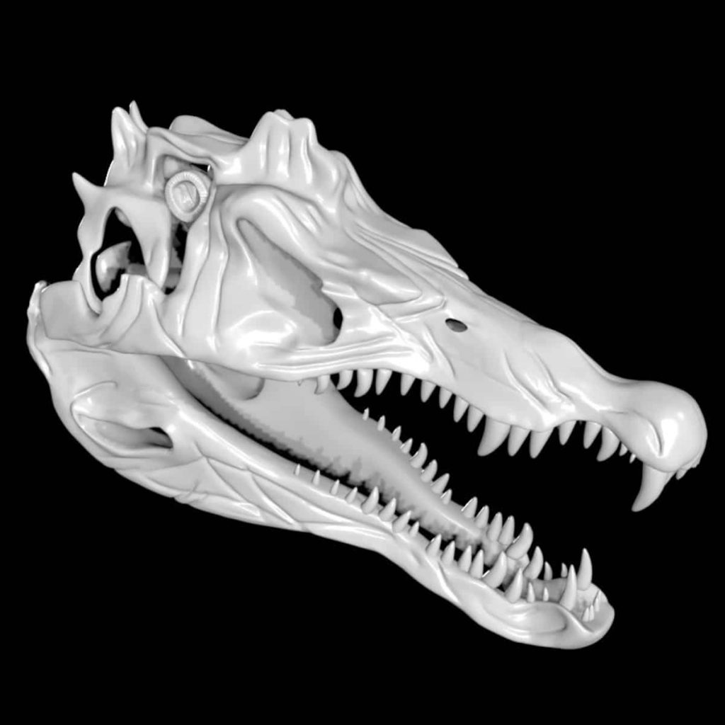Spinosaurus skull 3d model Low Poly AR 3D Model - Team 3d Yard