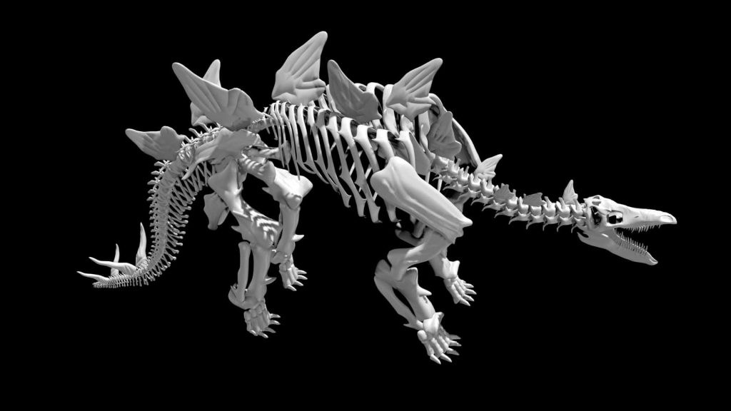 Stegosaurus Skeleton 3d model Low Poly AR - Team 3d Yard
