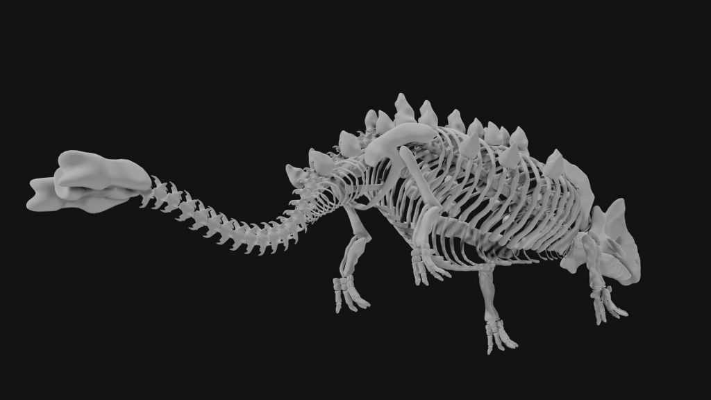 Ankylosaurus skeleton 3d model Low Poly