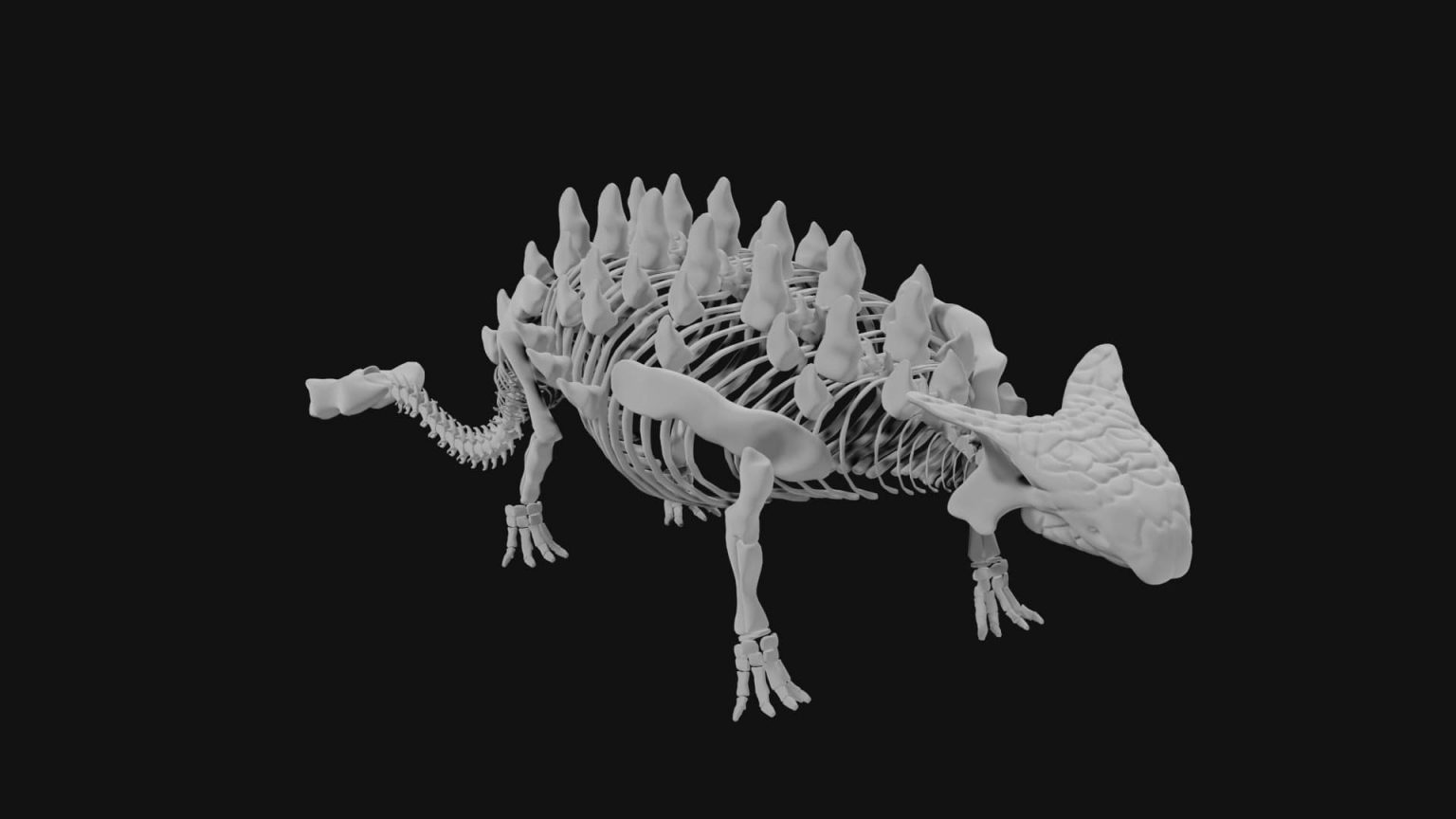 Ankylosaurus skeleton 3d model Low Poly